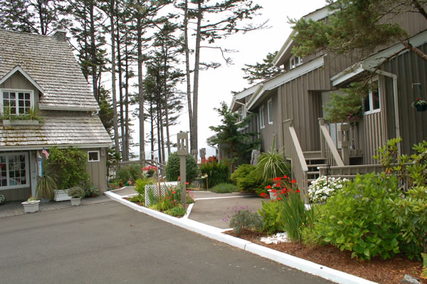 Photos of Newport Oregon